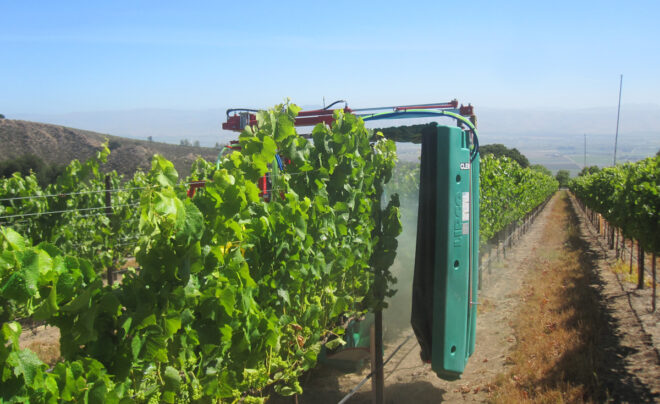 Grower Guides | Virtual Viticulture Academy