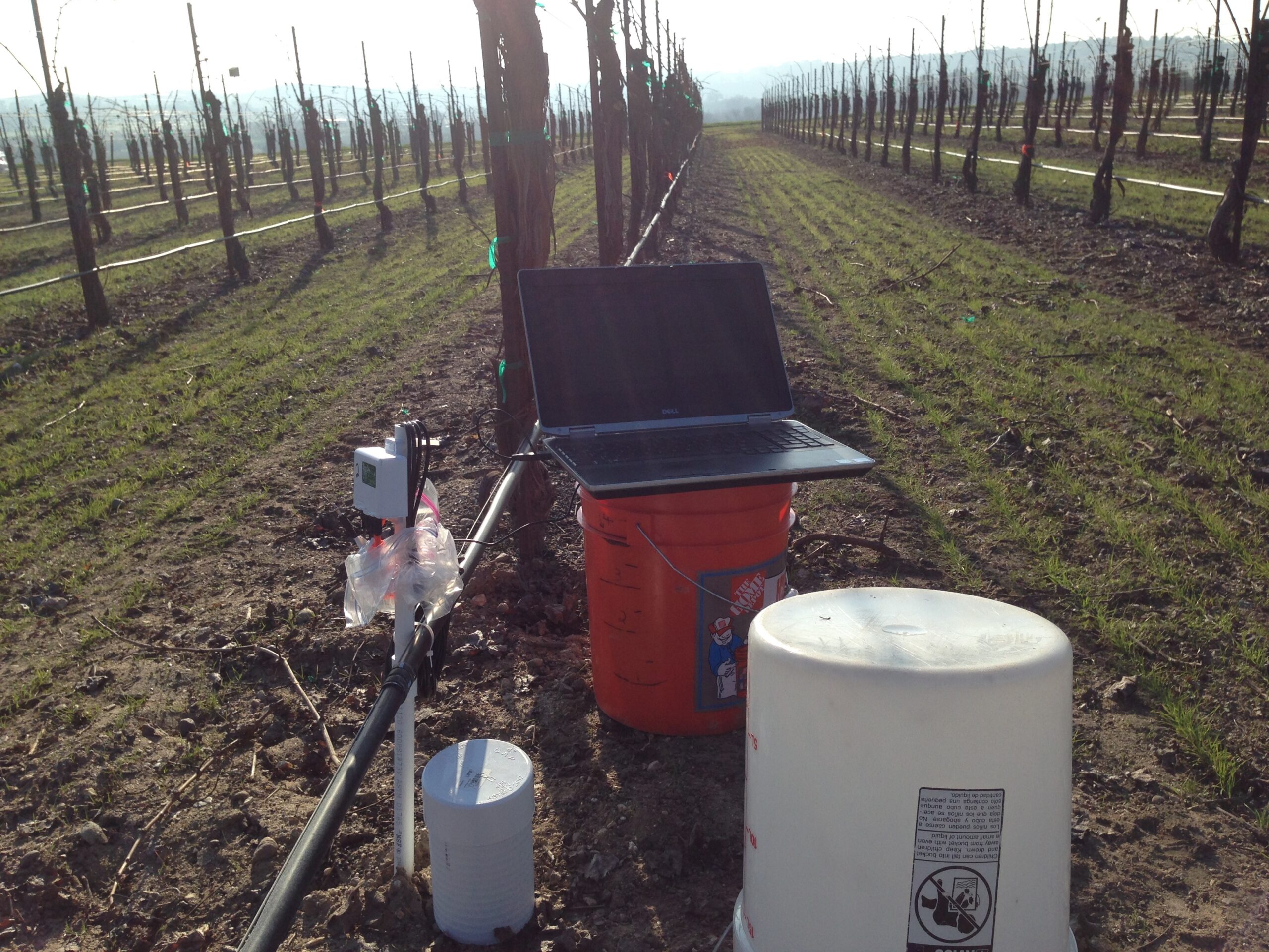 Water Analysis Form - Waypoint | Virtual Viticulture Academy