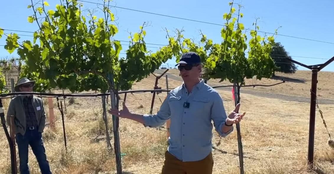Setup through Production | Virtual Viticulture Academy