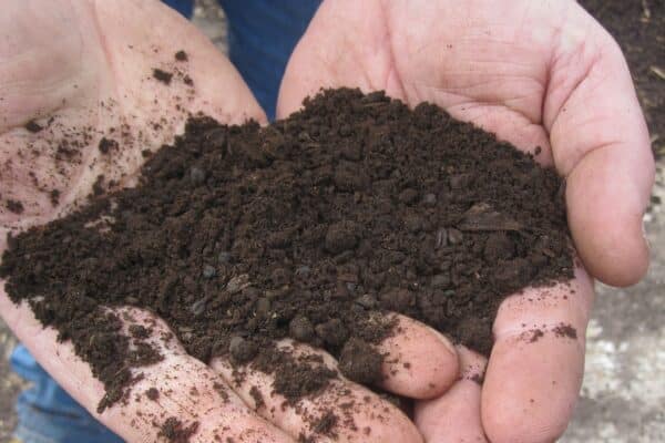 Composting Grape Pomace Guide | Virtual Viticulture Academy