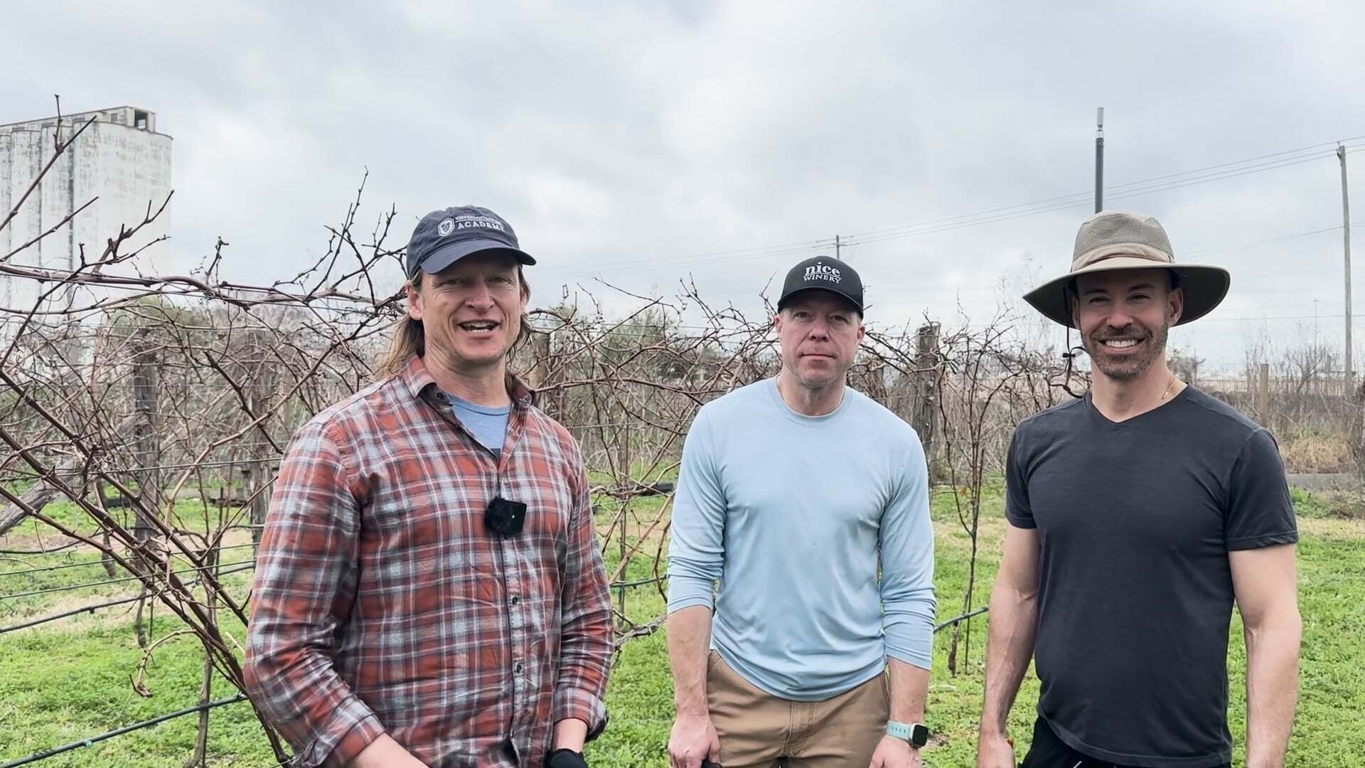 Pruning Spur Pruned Vines from Year 1 to Full Cordons | Virtual ...