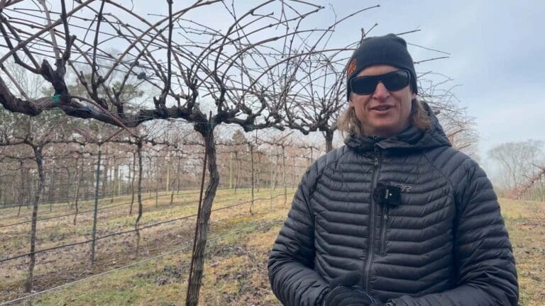 Spur Pruning High Cordon Watson Vines – English and Spanish | Virtual ...